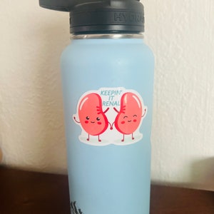 Kidney Stickers; Cute Nurse Stickers; Transplant Stickers; Dialysis ...