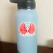 Cute Kidney Vinyl Sticker: Funny Nurse Gift, Water Bottle Decal (3 Inch ...