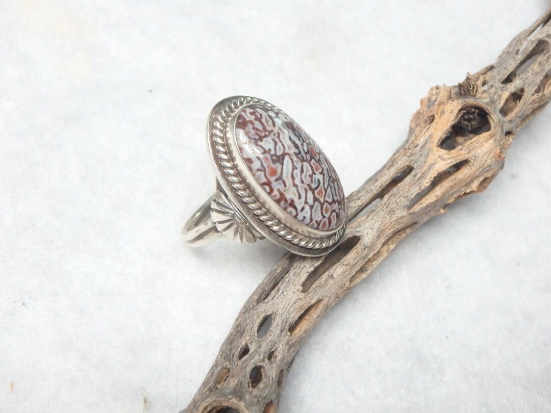 Petrified Dinosaur Bone Ring - Etsy