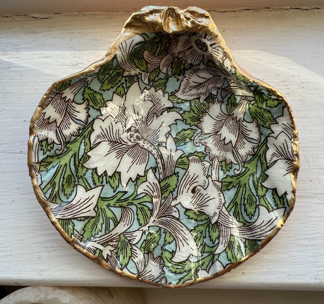 Extra-large Lion’s Paw Shell Trinket Dish, White Botanical - Etsy