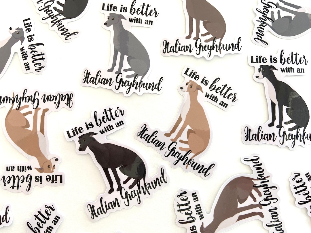 Italian Greyhound Sticker Life is Better With an Italian Greyhound ...