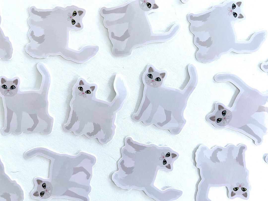 White Cat Waterproof Vinyl Sticker Longhaired White Cat Stickers - Etsy