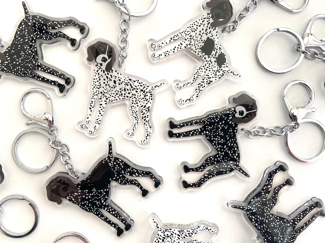 Black German Shorthaired Pointer Keychain Cute Charm Clear Plastic and ...