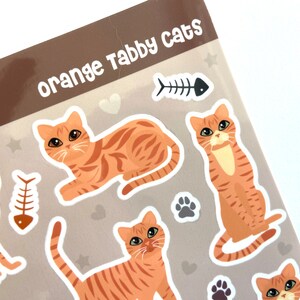 Orange Tabby Cat Sticker Sheet: Glossy Vinyl Water-resistant Stickers ...