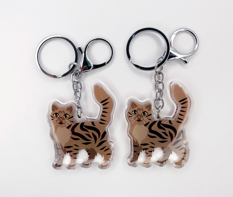 Longhaired Brown Tabby Cat Keychain, Clear Acrylic Charm - Etsy