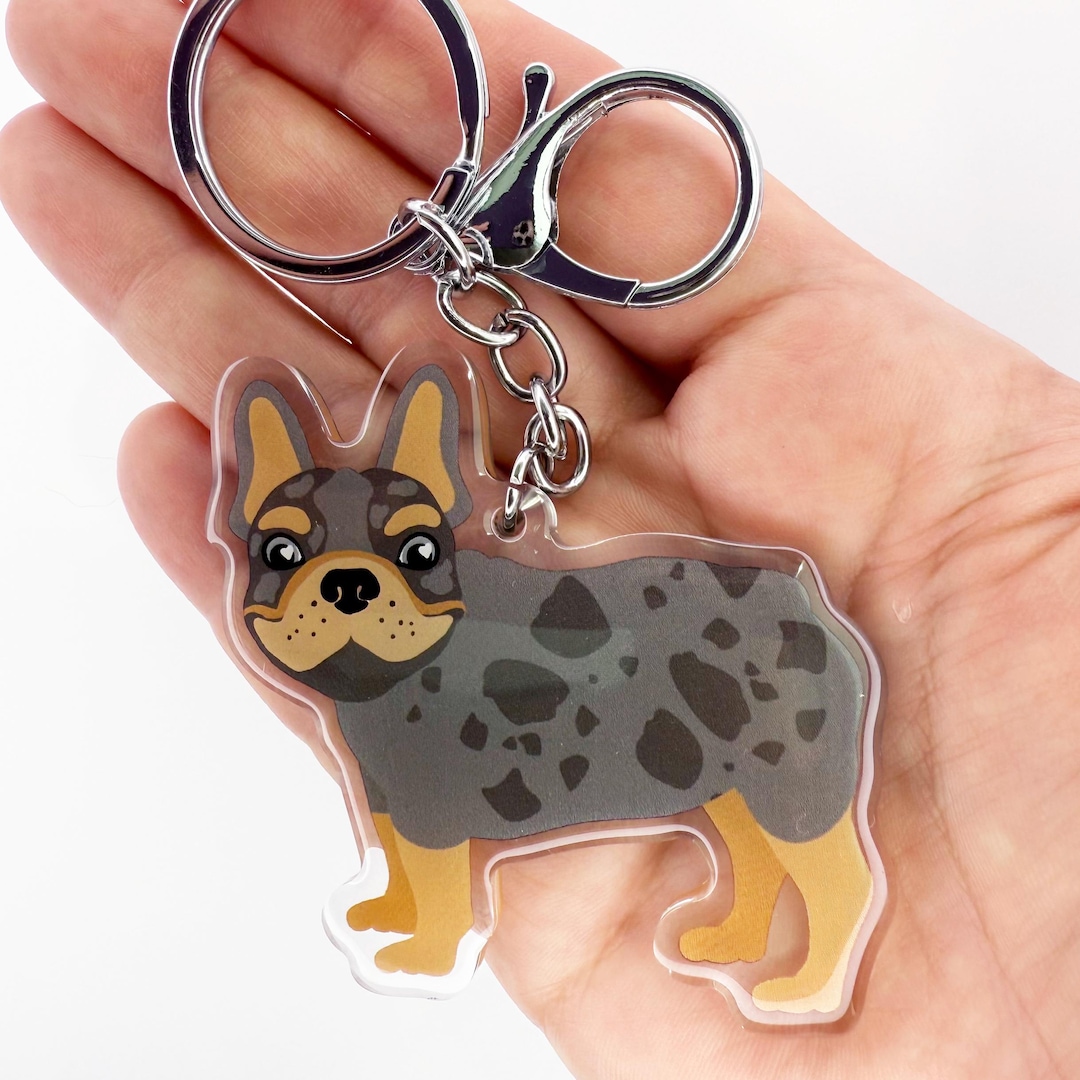 Blue Merle French Bulldog Keychain: Clear Acrylic, Silver Key Ring - Etsy