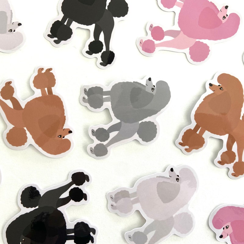 Poodle Sticker - Etsy