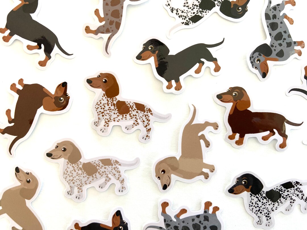 Cute Dachshund Sticker Waterproof Vinyl Sticker Dachshunds Stickers - Etsy