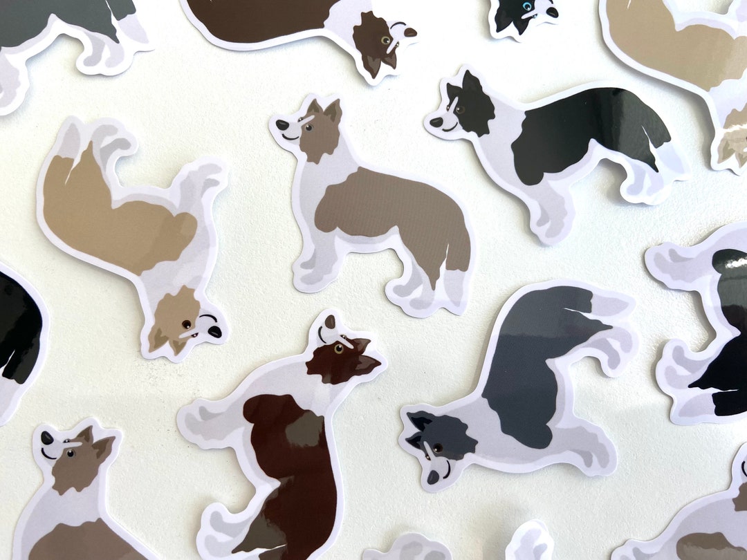 Border Collie Sticker Waterproof Die Cut Vinyl Sticker Border Collies ...