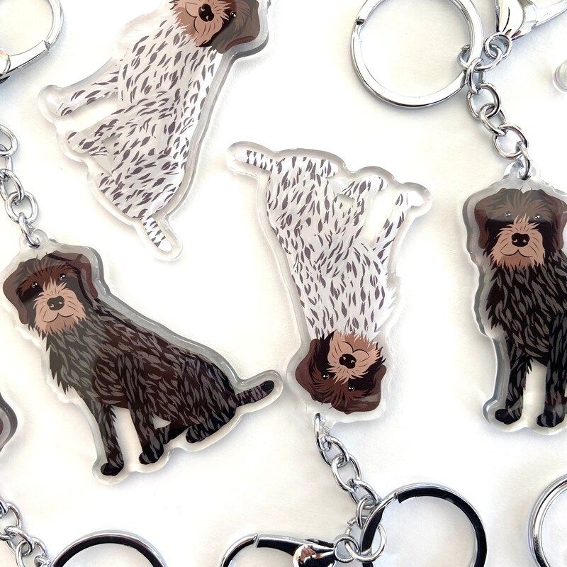 Wirehaired Pointing Griffon - Etsy