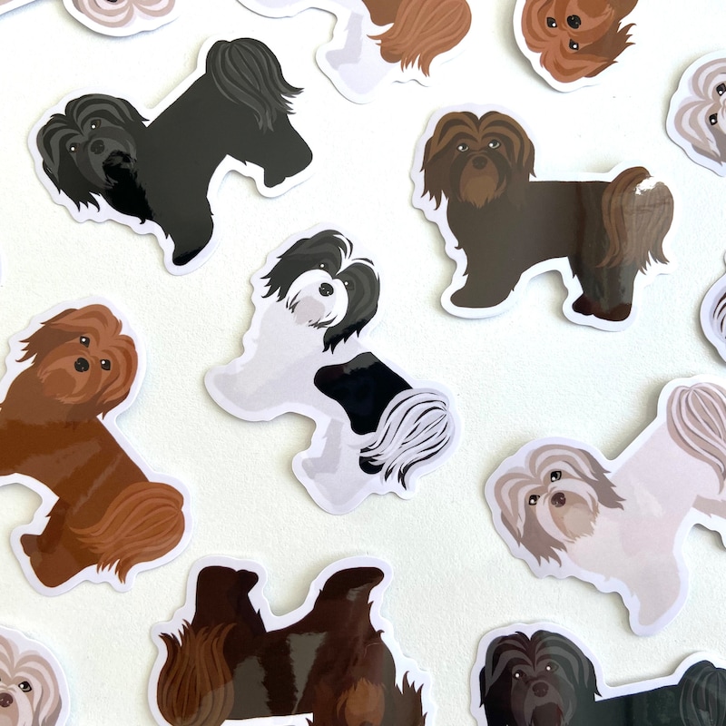 Havanese Stickers - Etsy