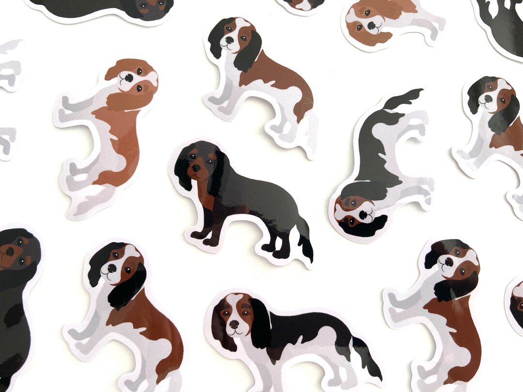 Cavalier King Charles Spaniel Sticker Waterproof Die Cut Vinyl Sticker ...