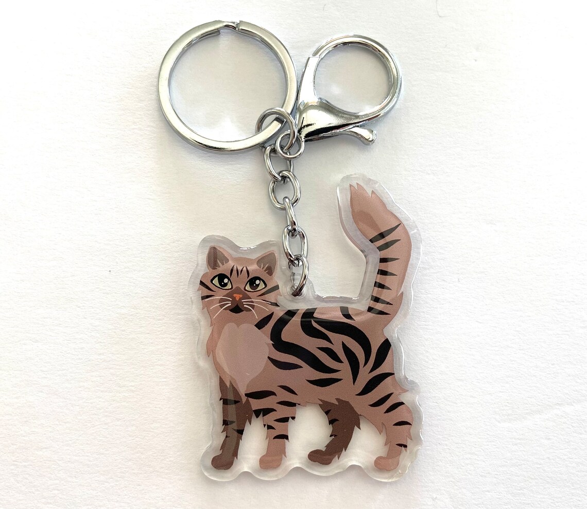 Longhaired Brown Tabby Cat Keychain Cute Charm Clear Acrylic - Etsy