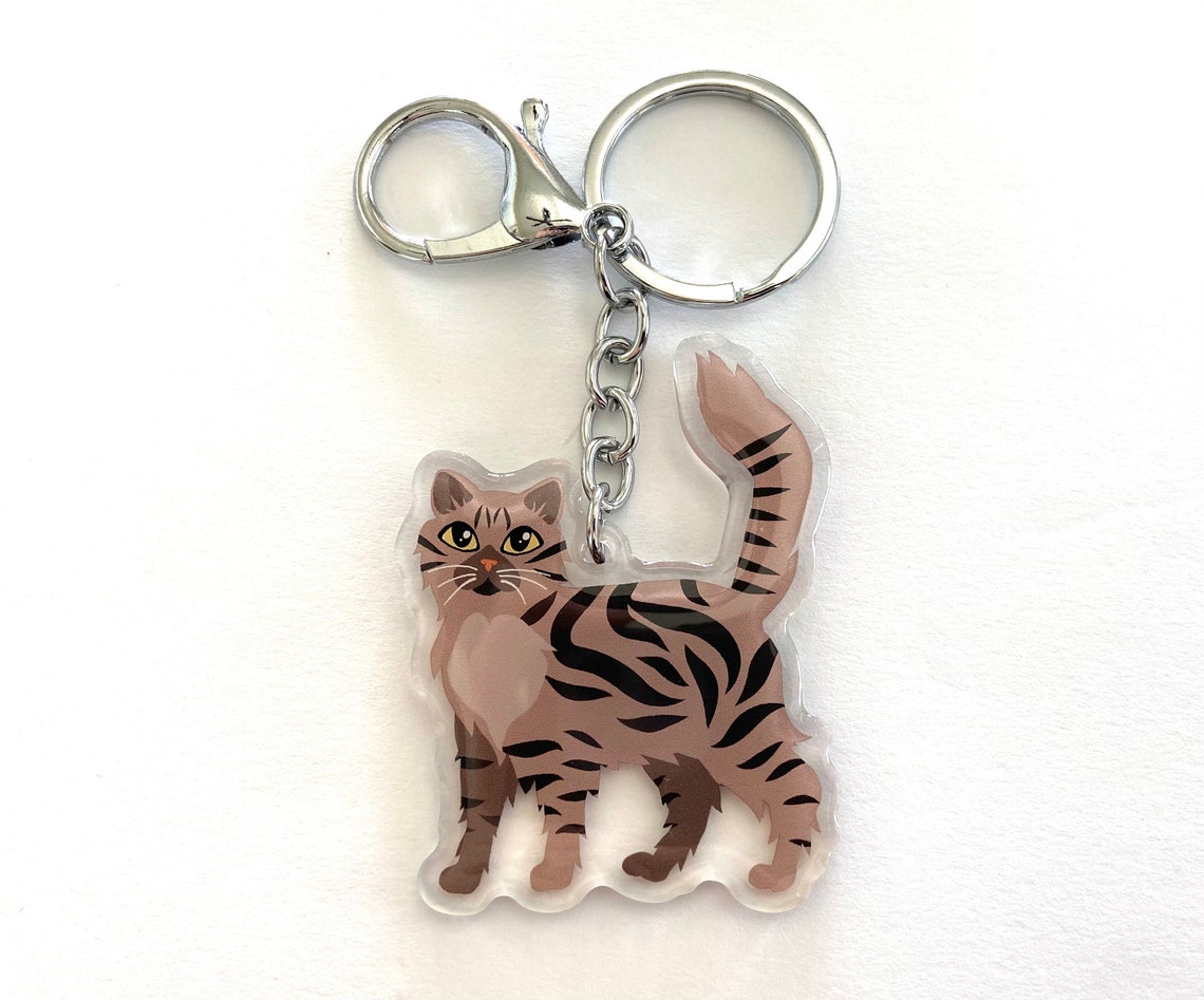 Longhaired Brown Tabby Cat Keychain Cute Charm Clear Acrylic - Etsy