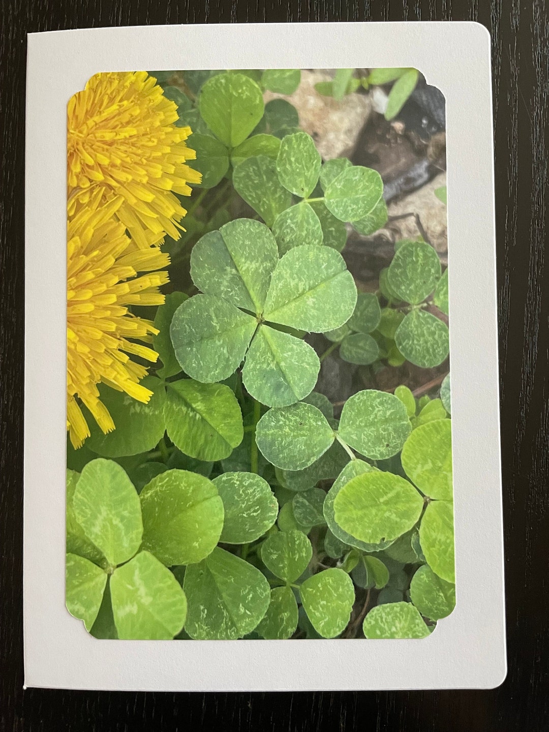 Four Leaf Clover. Blank 5x7 Note Card With Envelope - Etsy