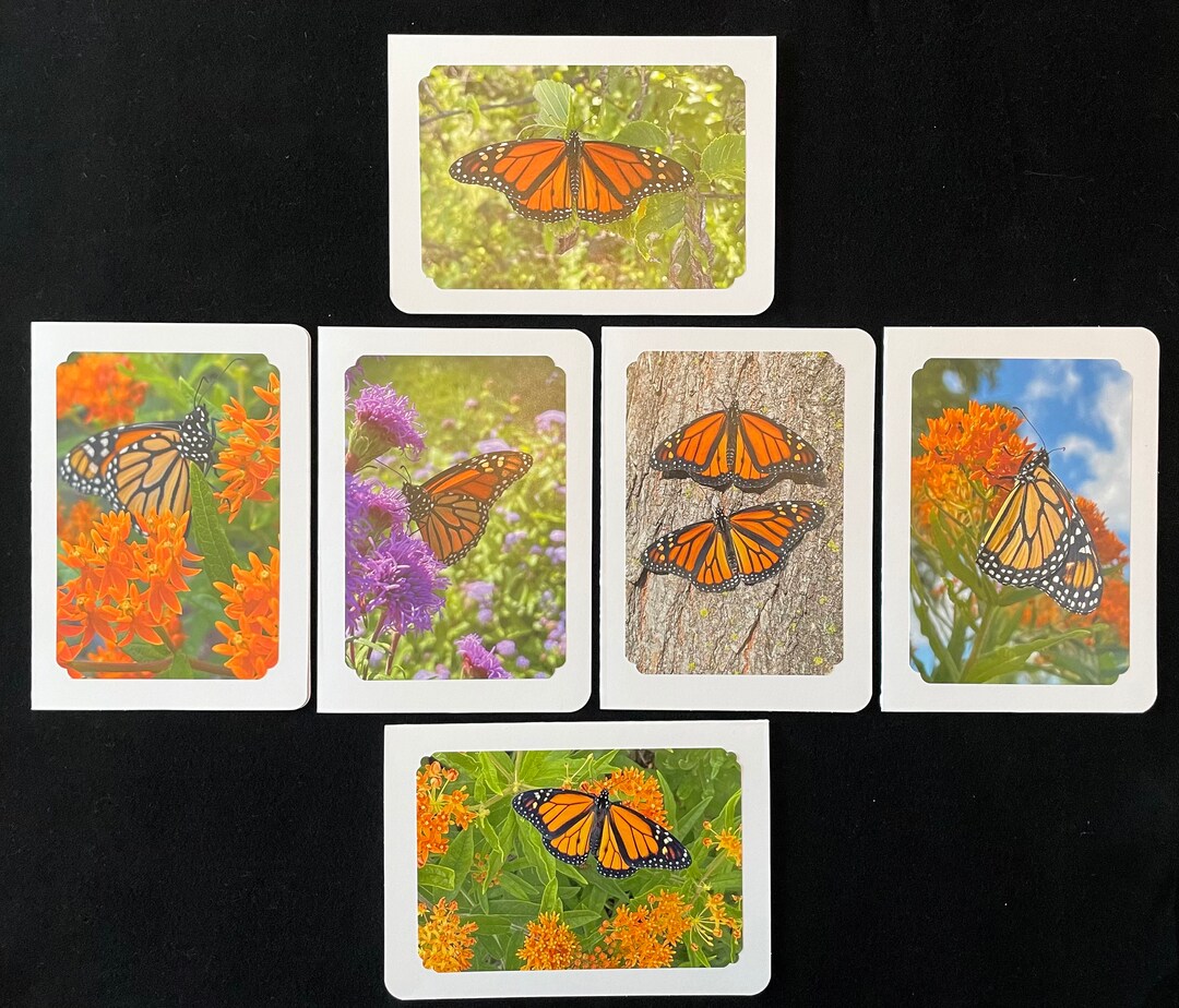6 Monarch Butterfly Note Cards With Envelopes - 5x7 - Etsy