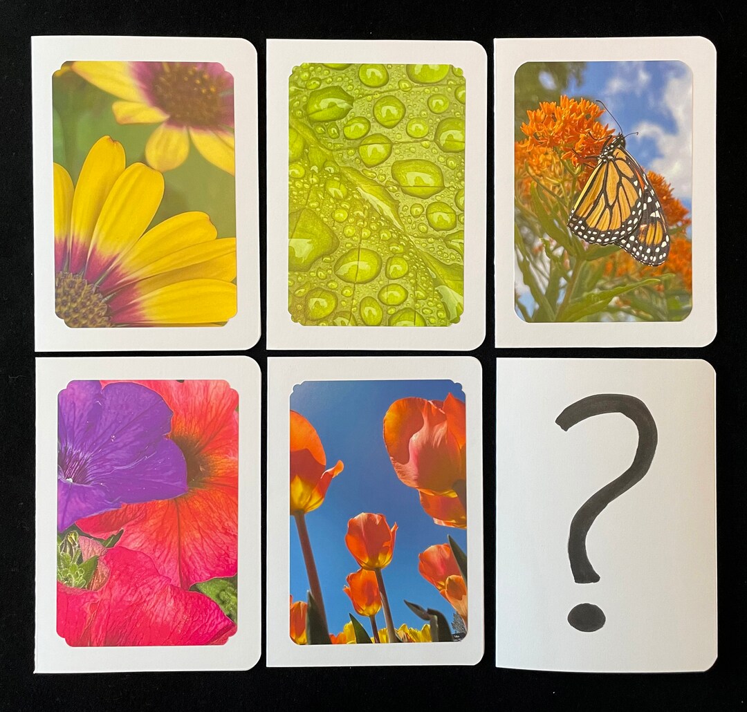 6 Nature Note Cards "favorites Pack" With Envelopes - 5x7 - Etsy