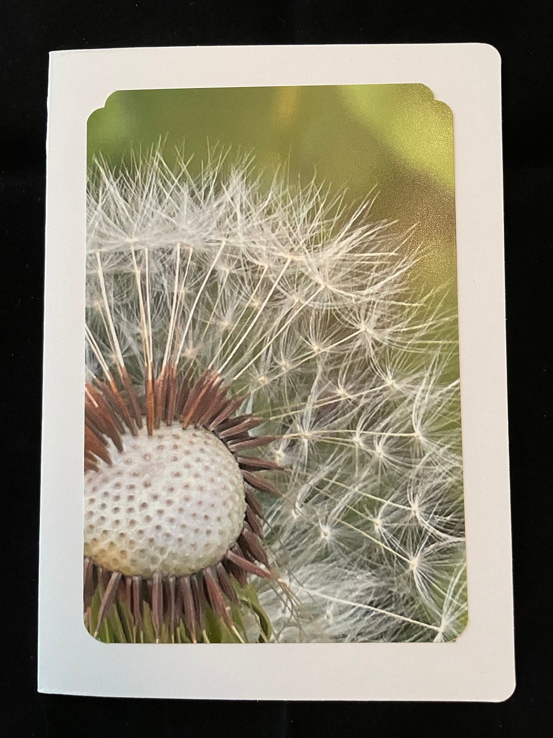 Dandelion Wish. Blank 5x7 Note Card With Envelope - Etsy