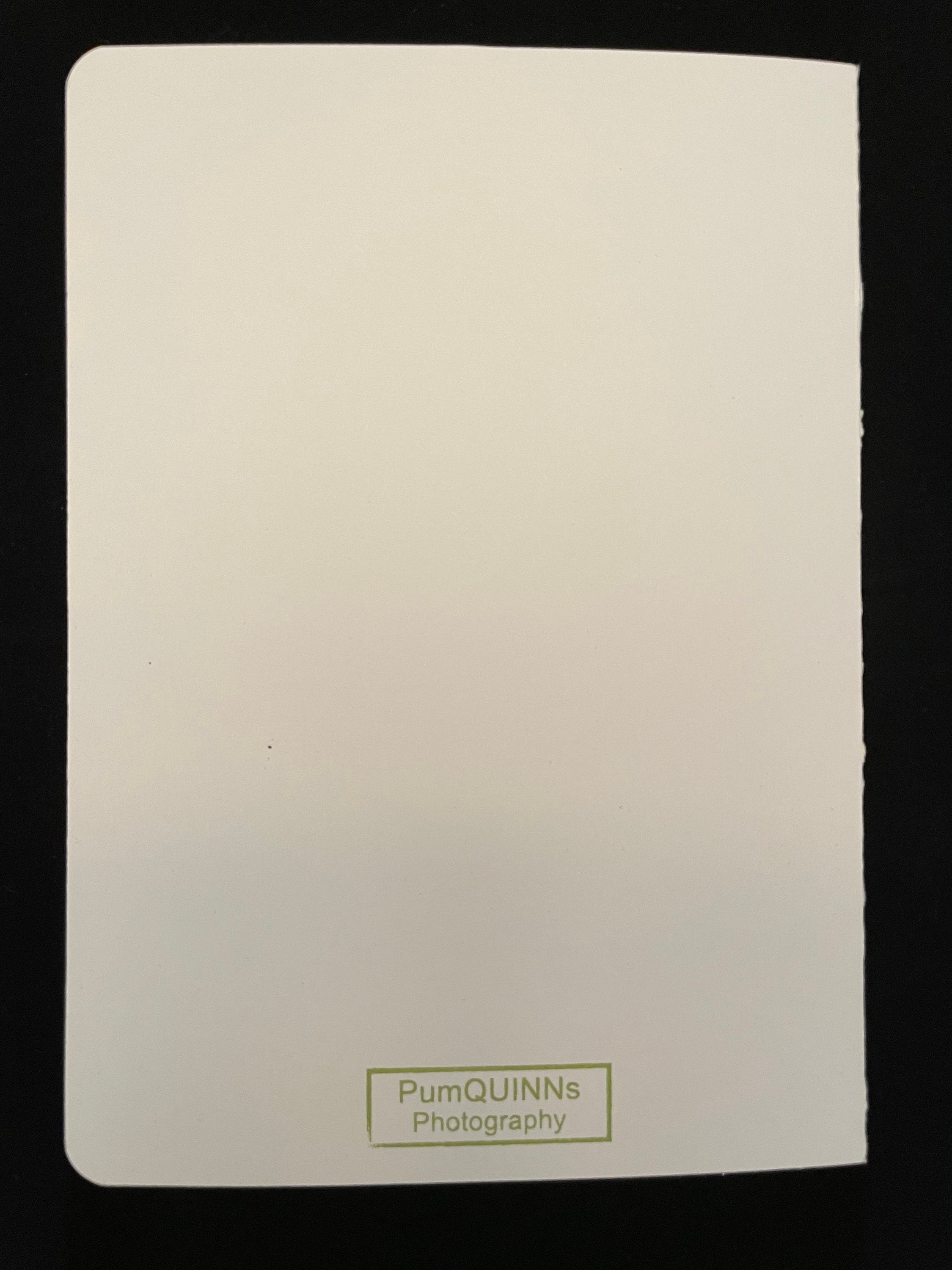 Double Daisy. Blank 5x7 Note Card With Envelope - Etsy