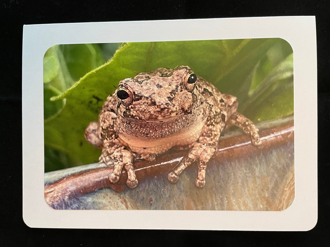 57. Frog. Blank 5x7 Note Card With Envelope - Etsy