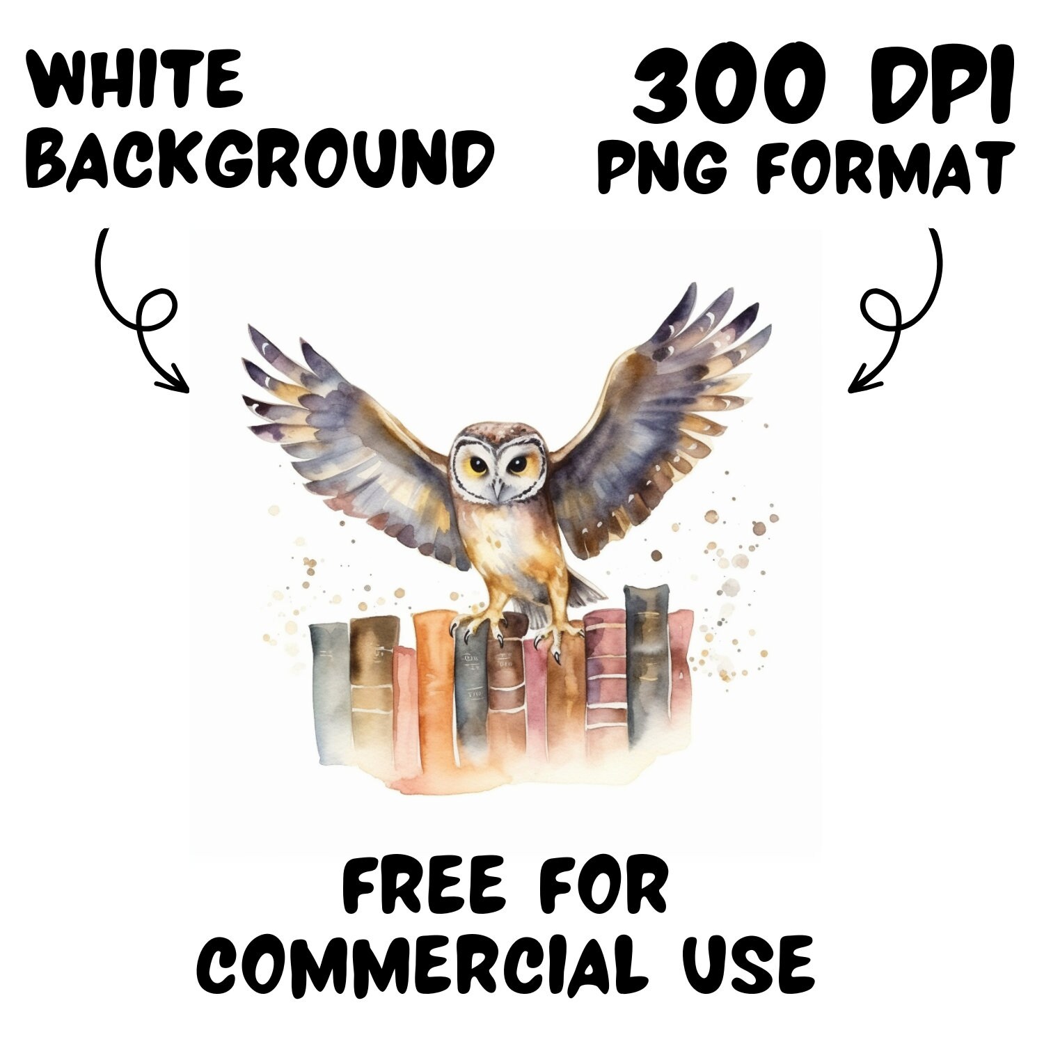 Library Owl Landscape Wall Art Cute & Colorful Indoor - Etsy