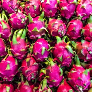 Red Dragon Fruit, Selenicereus Undatus, Red Pitaya, Strawberry Pear ...