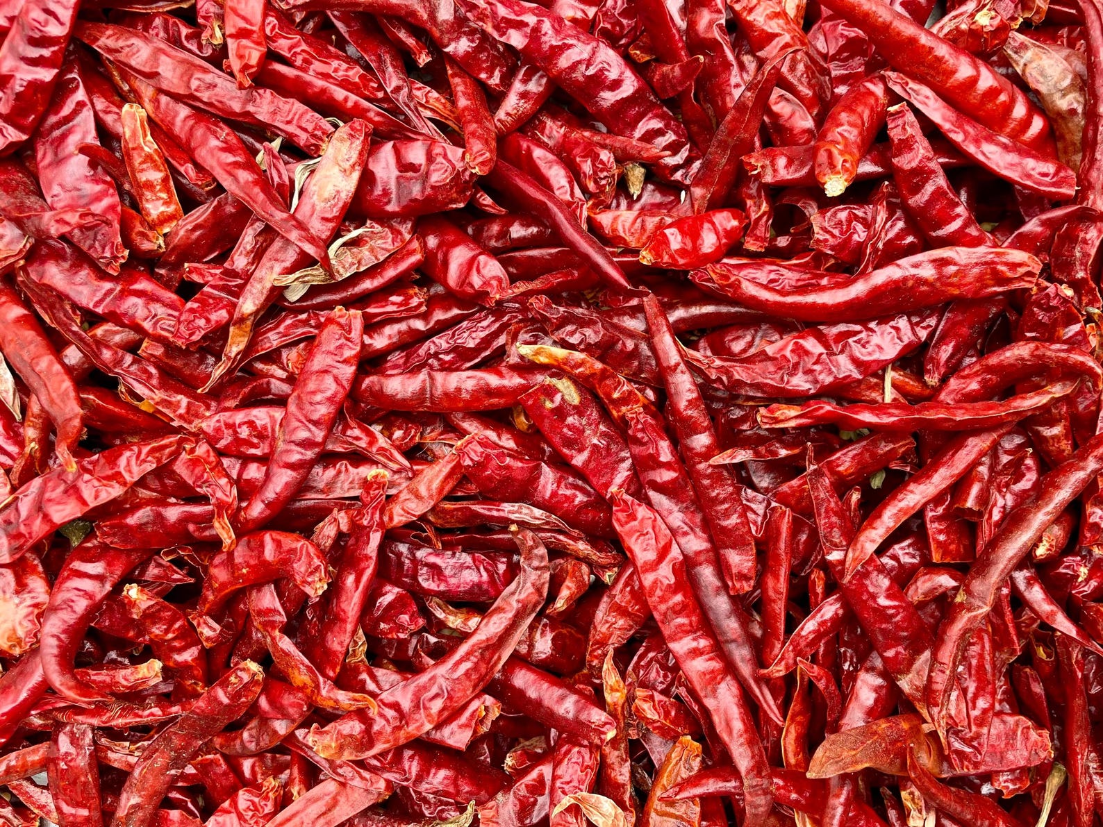 Thai Chili, Bird's Eye Chili Pepper, Thai Dragon Peppers, African Devil ...