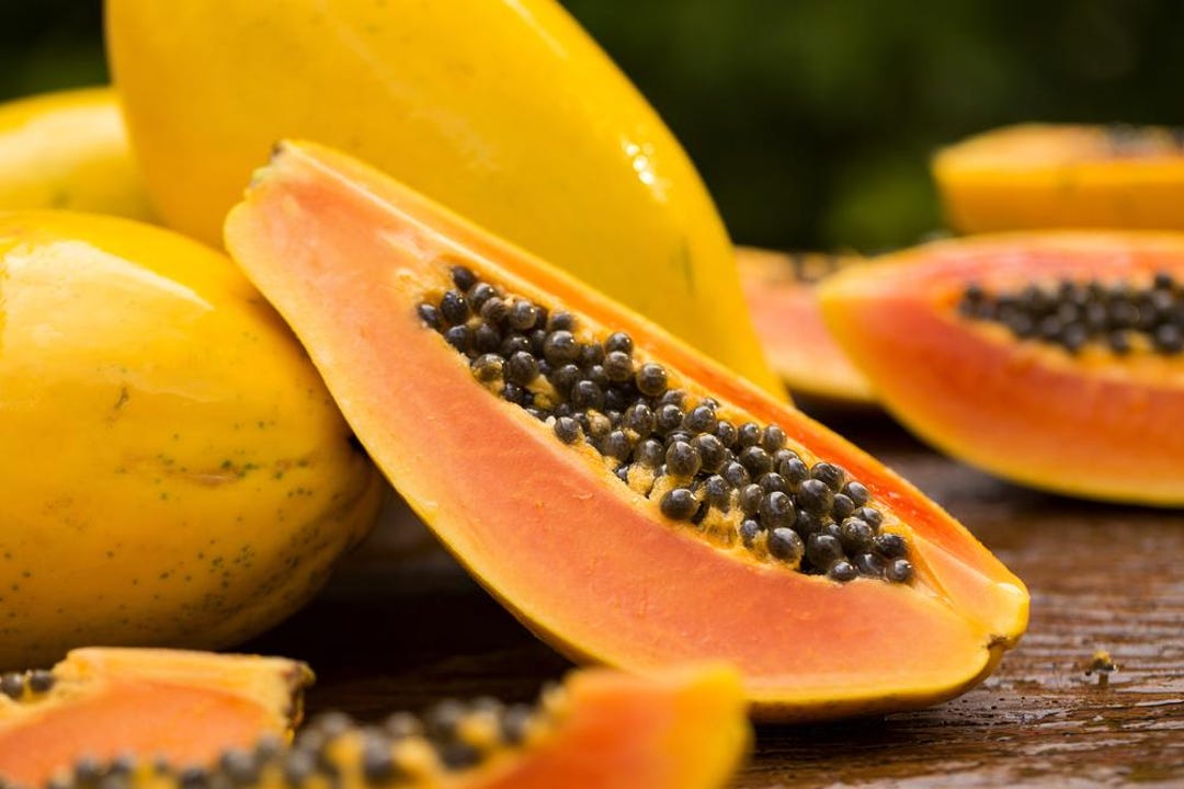 Mexican Papaya, Carica Papaya, Papaw or Paw Paw, Mamao, Tree Melon ...