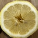 Lisbon Lemon or Citrus Limon (10 Seeds) - Etsy