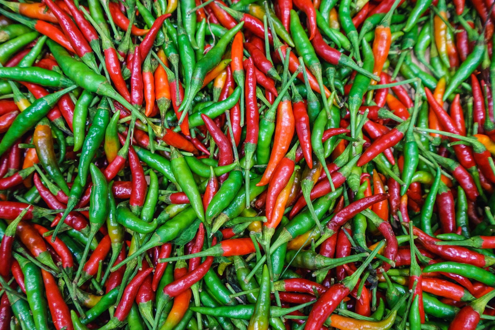 Thai Chili, Bird's Eye Chili Pepper, Thai Dragon Peppers, African Devil ...