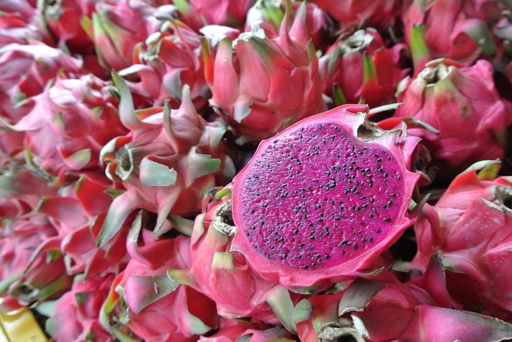 Red Dragon Fruit, Selenicereus Undatus, Red Pitaya, Strawberry Pear ...