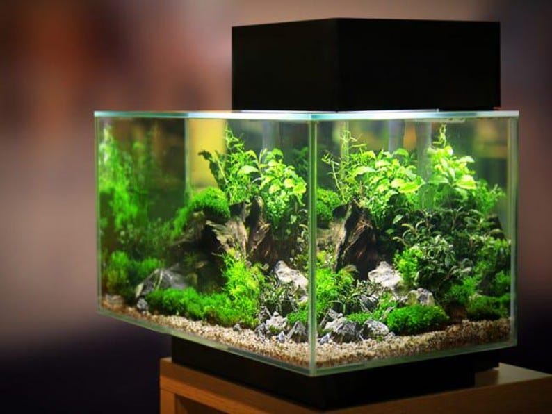 Nano Flora Plant Habitat Freshwater Aquariums and Tanks up to 8 Gallons ...