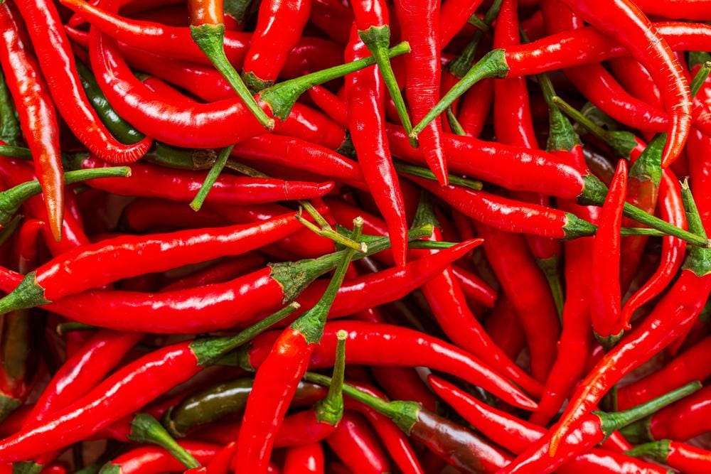 Thai Chili, Bird's Eye Chili Pepper, Thai Dragon Peppers, African Devil ...