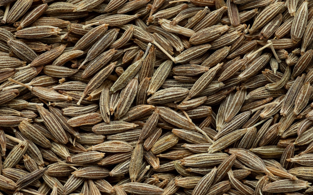 Cumin, Cuminum Cyminum, Jeera, Cumino, Comino, Herb Garden, Grow Your ...
