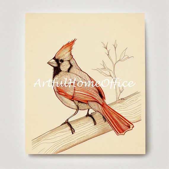 Cardinal Line Drawing