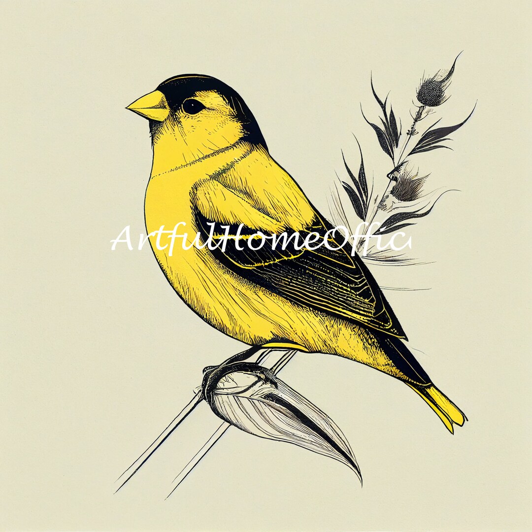 Minimalist Vintage American Goldfinch Line Drawing - Etsy