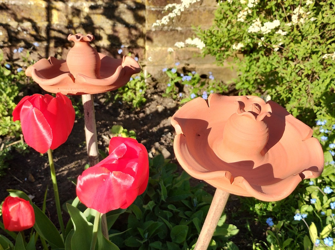 2 X Bird Feeders, Cane Top, Terracotta - Etsy