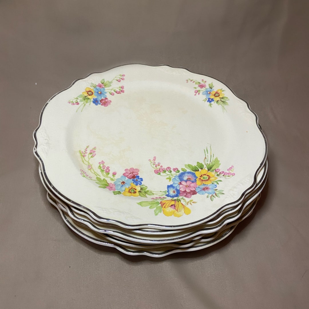 Homer Laughlin Virginia Rose Plates - Etsy