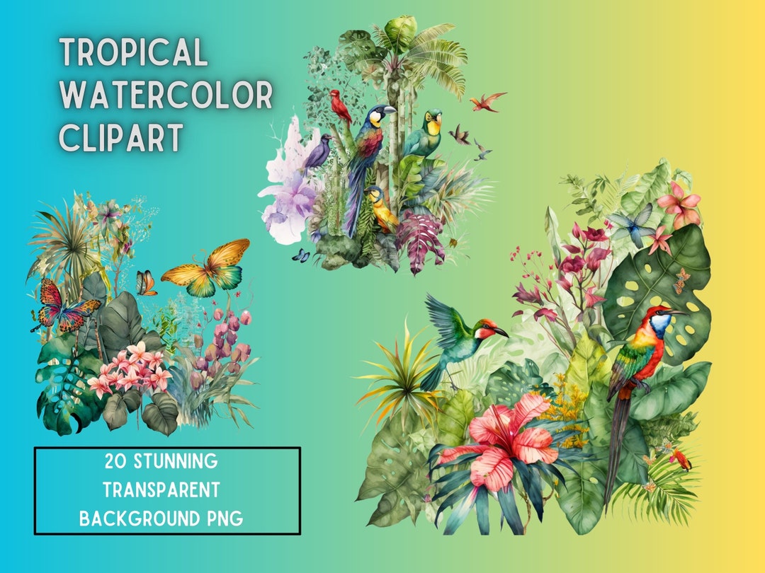 Tropical Watercolor Clipart set 4 Summer Vibes & Jungle - Etsy