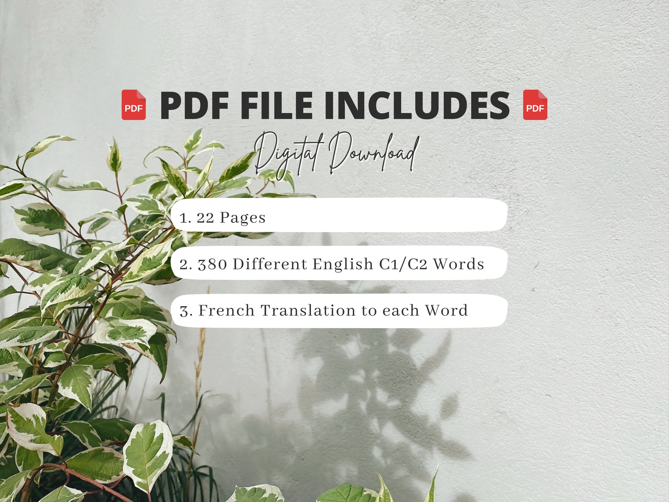 Lista de vocabulario inglés/francés C1/C2 casi 400 palabras - Etsy España