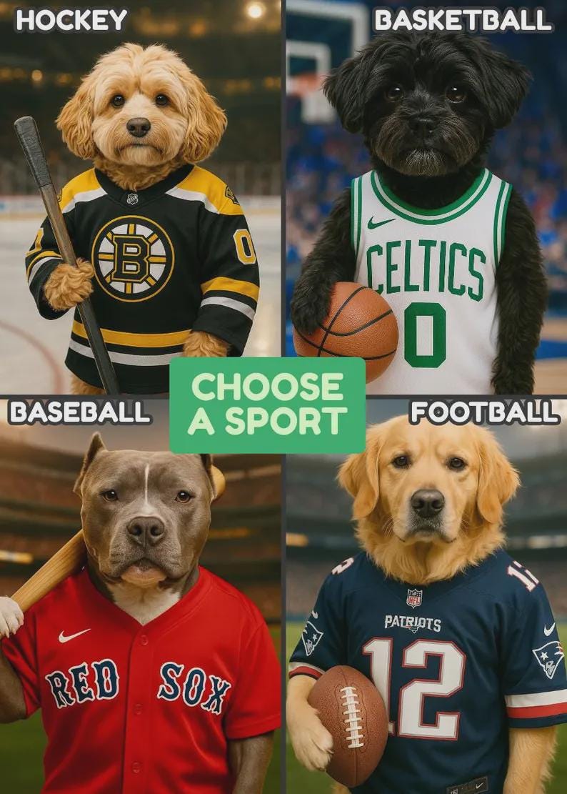 Custom Sports Dog Portrait: NFL, NBA, NHL Gift - Etsy
