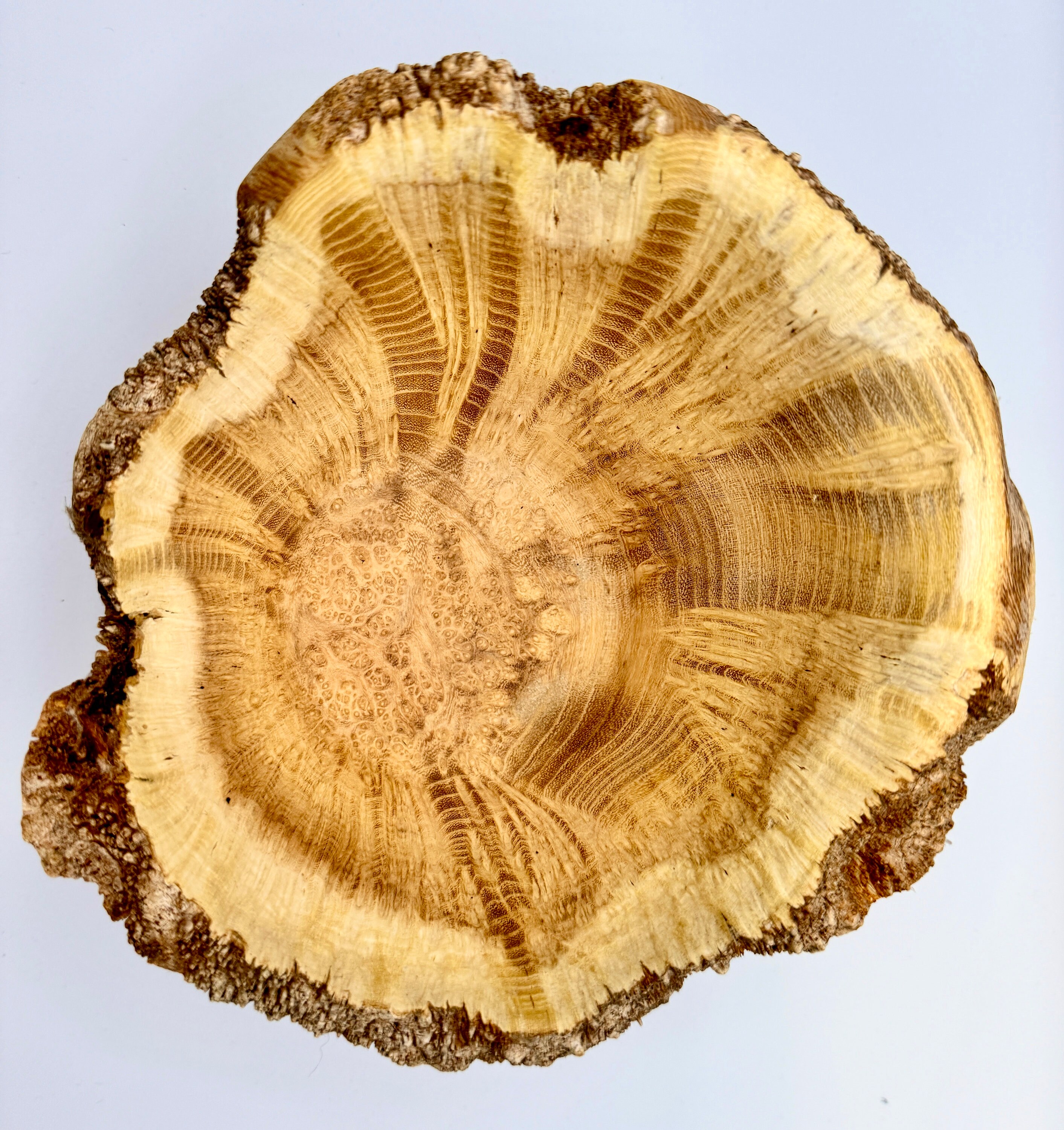 Live Edge Black Locust Burl Cap Bowl - Etsy