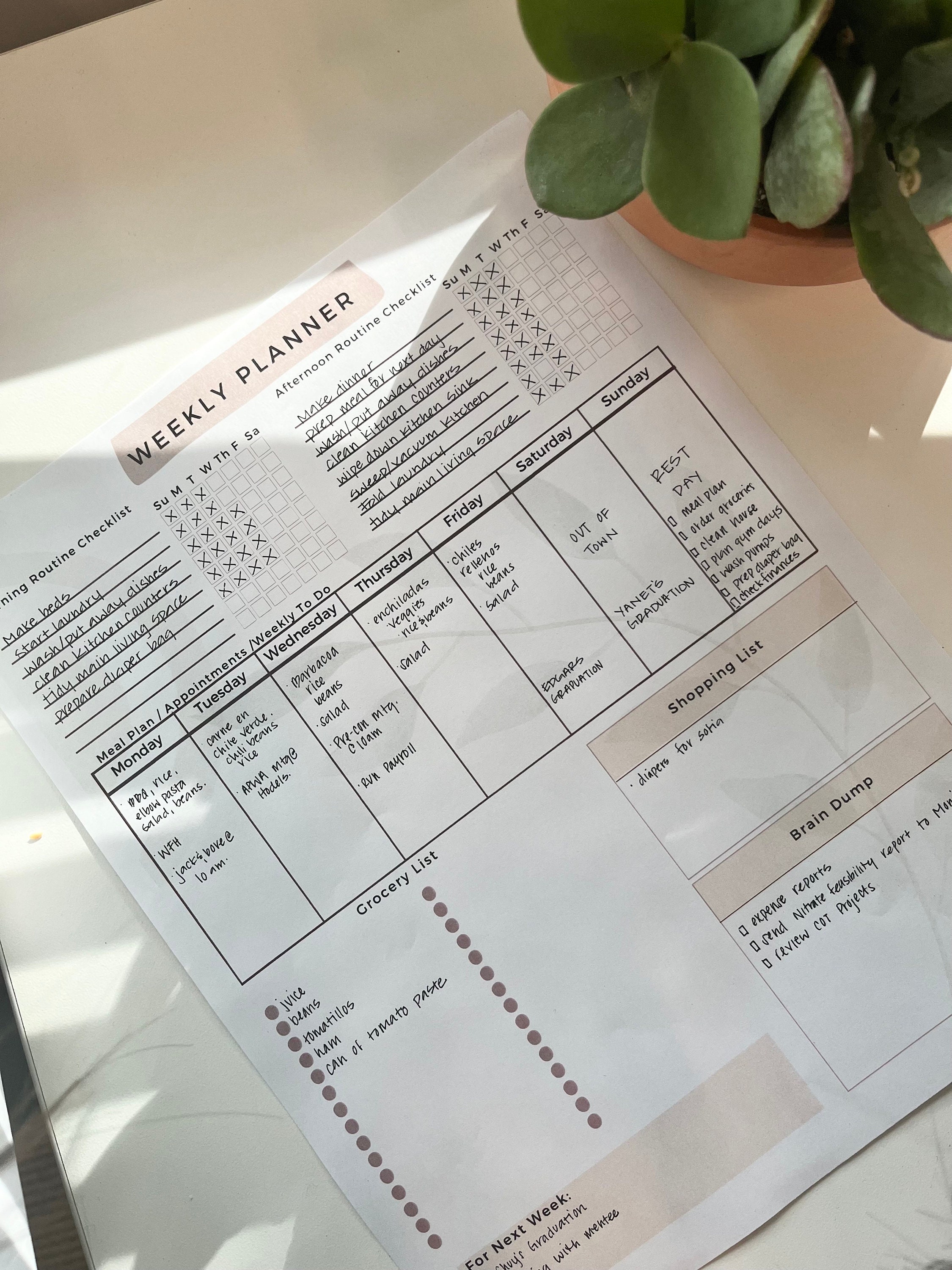 Weekly House Planner, Routine Tracker, Printable - Etsy