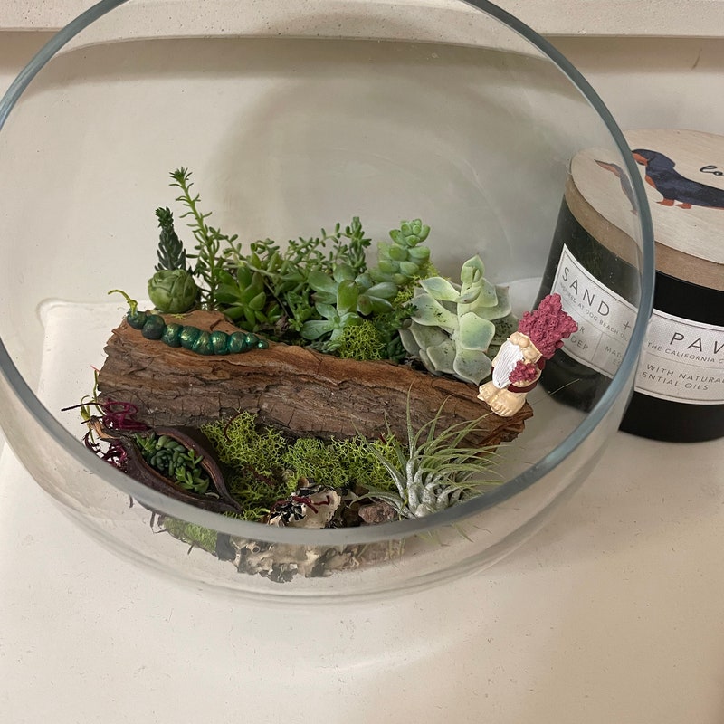 Mini Terrarium - Etsy