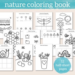 Nature and Bug Coloring Pages for Preschool to Kindergarten Activity ...