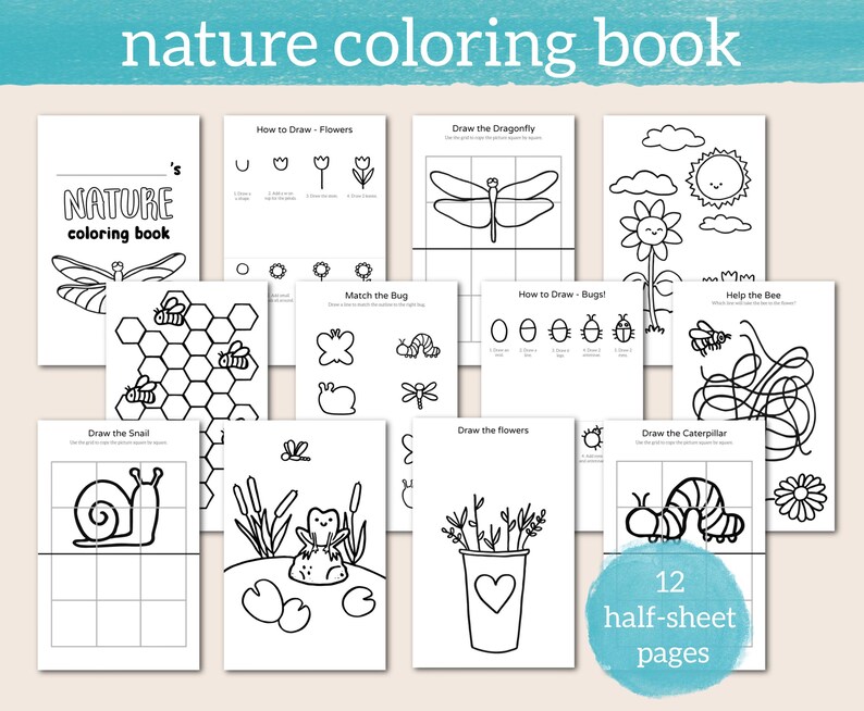 Nature and Bug Coloring Pages for Preschool to Kindergarten Activity ...