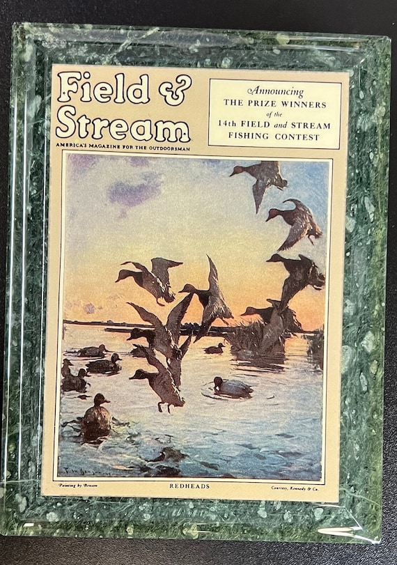 Field and stream granite - Gem