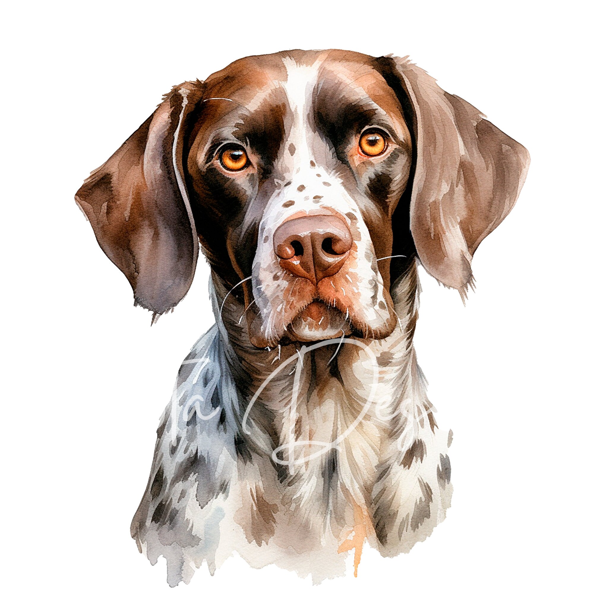 Short Haired Pointer Clipart 40 High Quality PNG Digital Planner, Junk ...