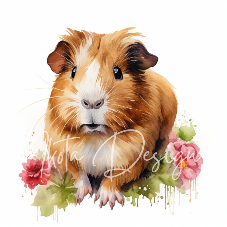 Guinea Pig Clipart 40 High Quality Jpgs Digital Planner, Junk ...