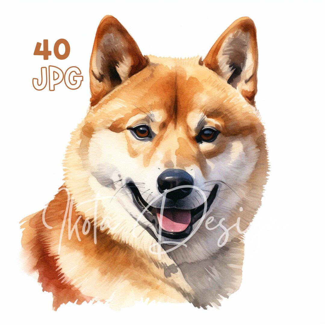 Shiba Inu Clipart - 40 High Quality Jpgs - Digital Planner, Junk ...